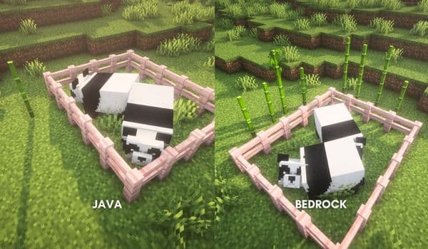 Breed Pandas Minecraft: Gene Guide & How To • YourSiteName
