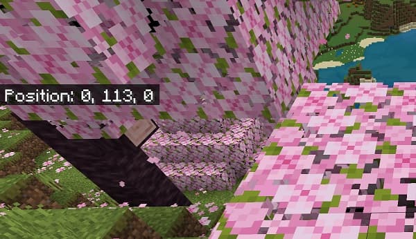 Teleport in Minecraft: Stasis, Commands & More