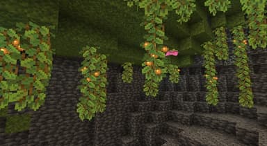 Grow Glow Berries Minecraft: Easy Guide to Farming