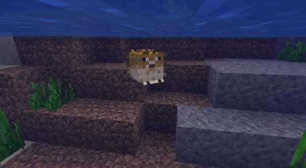 Get Pufferfish Minecraft: How to Safely Find Them!