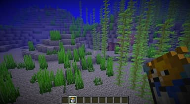 Get Pufferfish Minecraft: How to Safely Find Them!