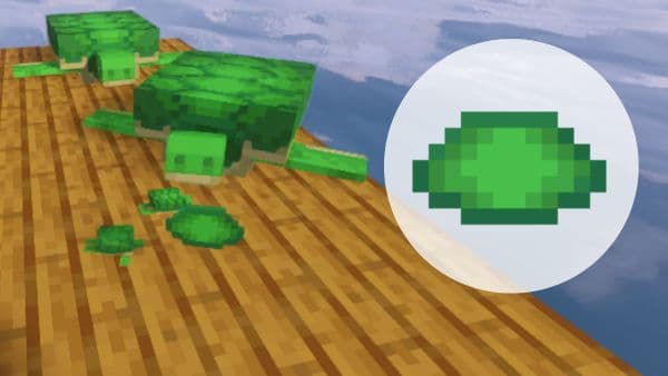 Minecraft Respiration: What It Does in 2023