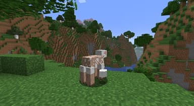 Minecraft Shield: Crafting Guide for Bedrock & Java