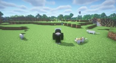 Tame Cat Minecraft: Complete How-To Guide