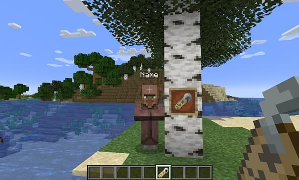 Minecraft Name Tags: How to Get & Use Them