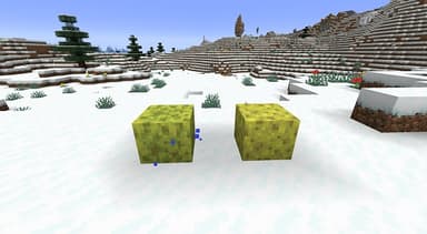 Get Sponges Minecraft: Easy Methods & Where to Find Them