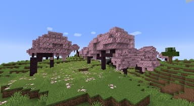 Cherry Grove Minecraft 1.20: How to Find This Biome Easily