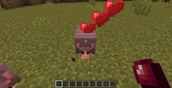 Breed Armadillos Minecraft 1.21: Easy 2024 Guide