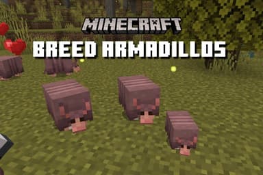 Breed Armadillos Minecraft 1.21: Easy 2024 Guide