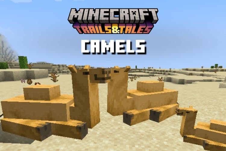 Minecraft 1.20 Camels: Everything You Need to Know