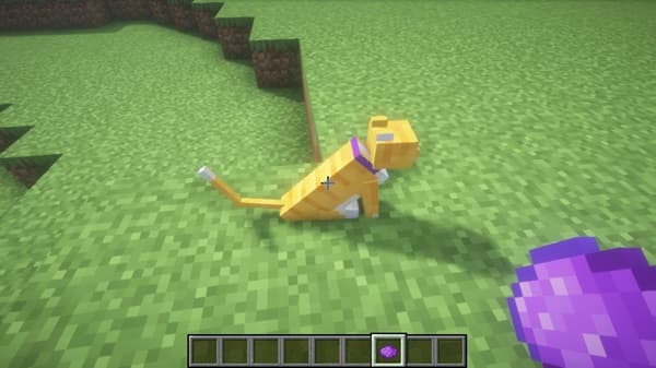 Tame Cat Minecraft: Complete How-To Guide