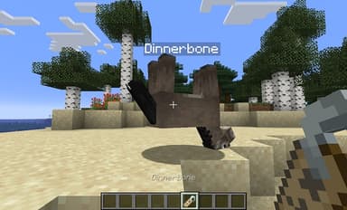 Minecraft Name Tags: How to Get & Use Them