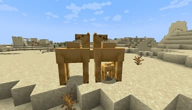 Breed Camels Minecraft 1.20: Easy Breeding Guide
