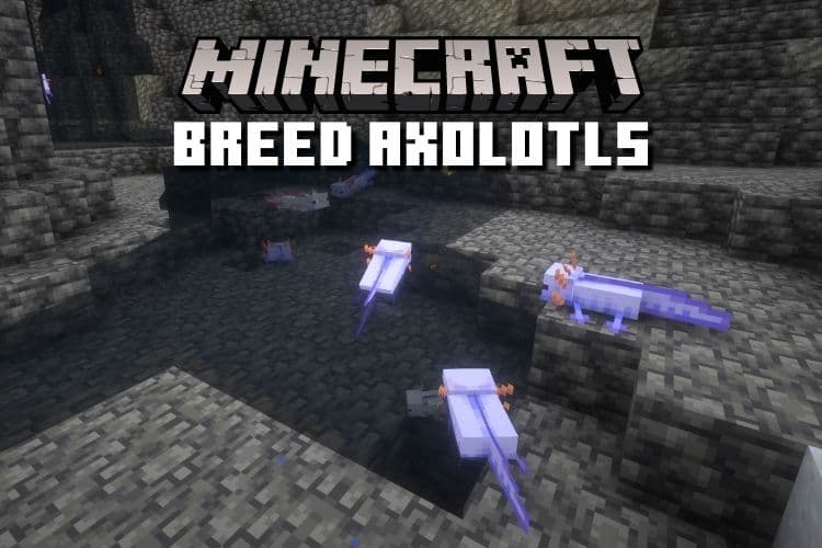 Breed Axolotls Minecraft: How to Get More (2025 Guide)