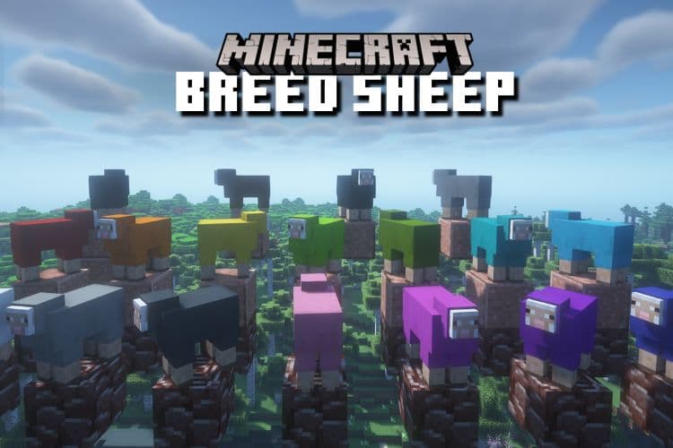 Breed Sheep Minecraft: Easy Breeding Guide