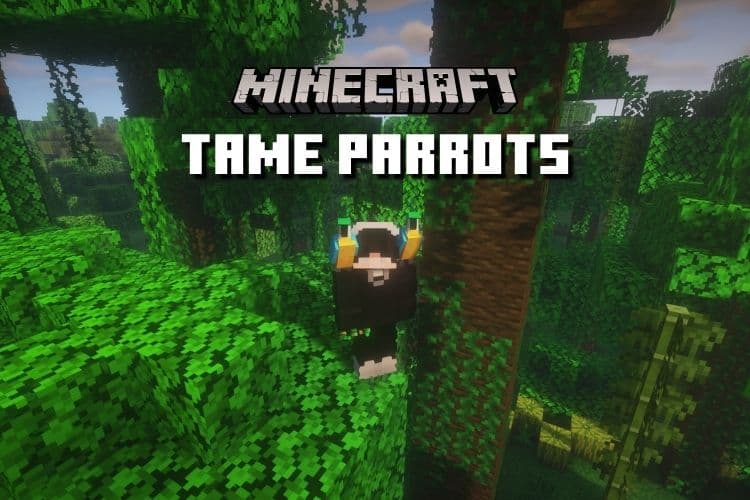 Tame Parrot Minecraft: Easy Guide to Taming Parrots