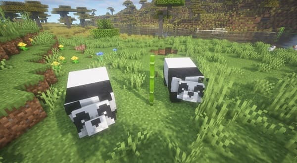 Breed Pandas Minecraft: Gene Guide & How To • YourSiteName
