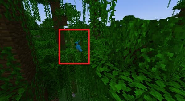 Tame Parrot Minecraft: Easy Guide to Taming Parrots