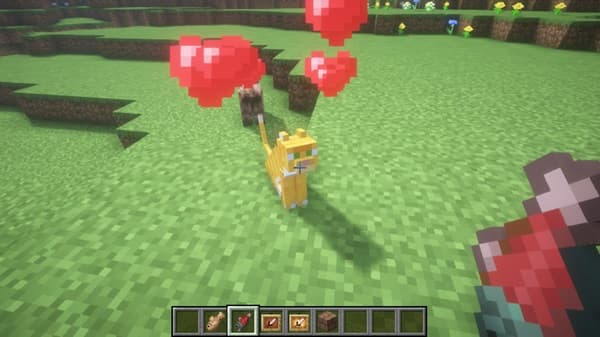 Tame Cat Minecraft: Complete How-To Guide