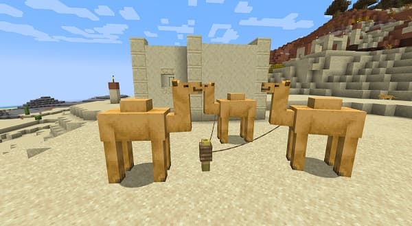 Breed Camels Minecraft 1.20: Easy Breeding Guide
