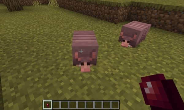 Breed Armadillos Minecraft 1.21: Easy 2024 Guide