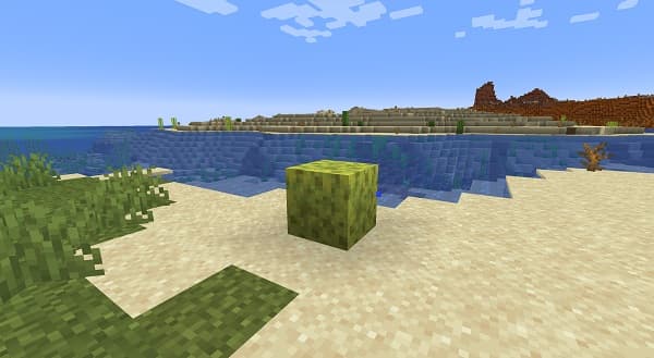 Get Sponges Minecraft: Easy Methods & Where to Find Them