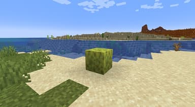 Get Sponges Minecraft: Easy Methods & Where to Find Them